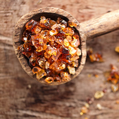 Progeline Cream | MiamiMD Lift & Firm Cream