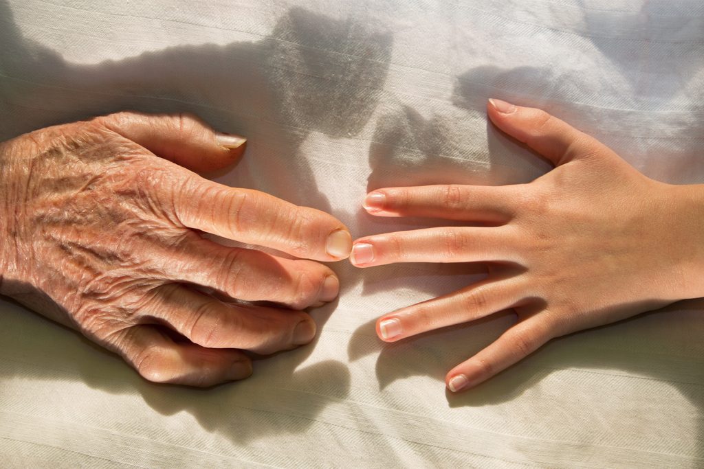 Senescence: What Is It and What Does It Mean? | Miami MD